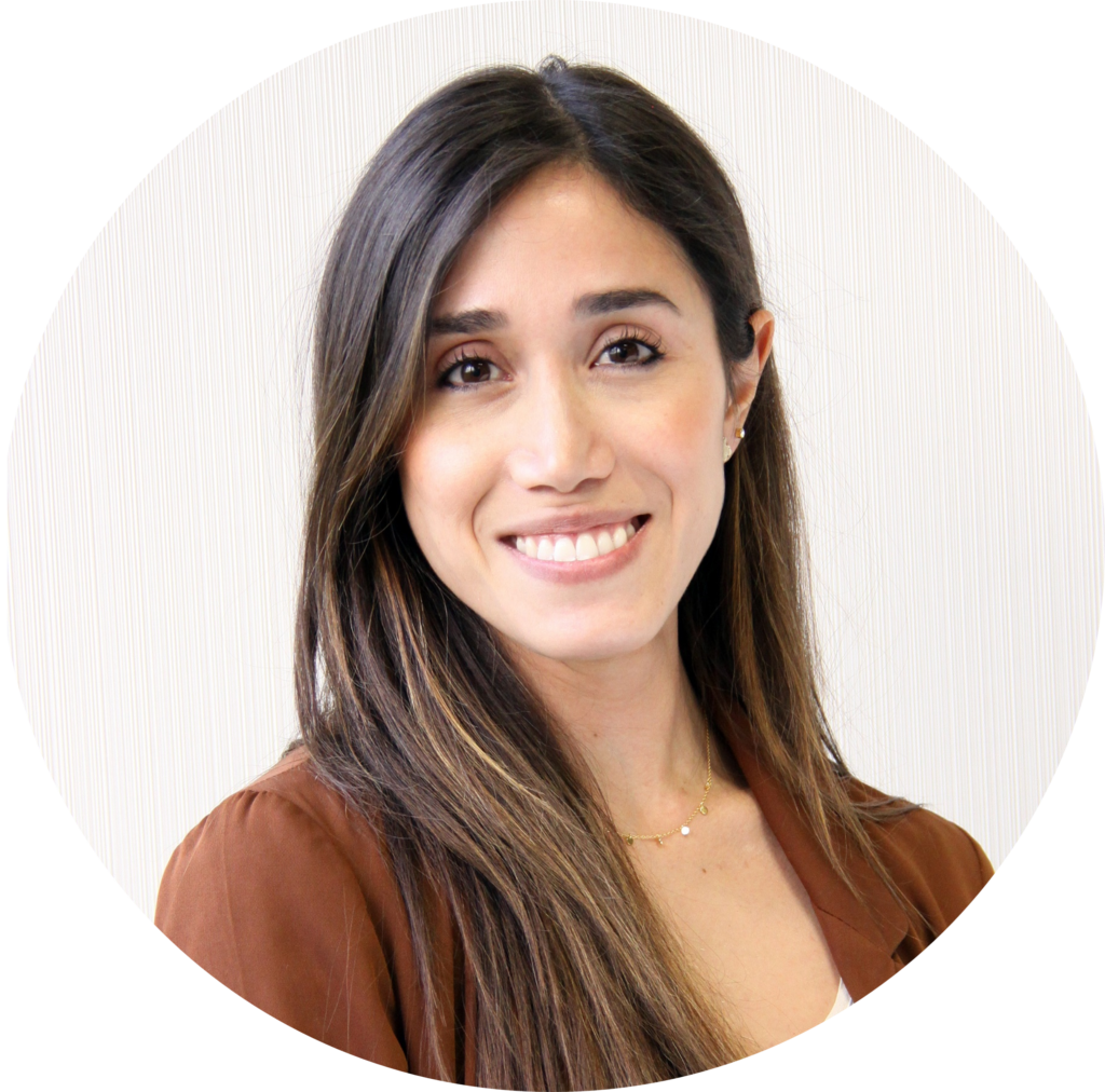 the project – PRIMUS Project